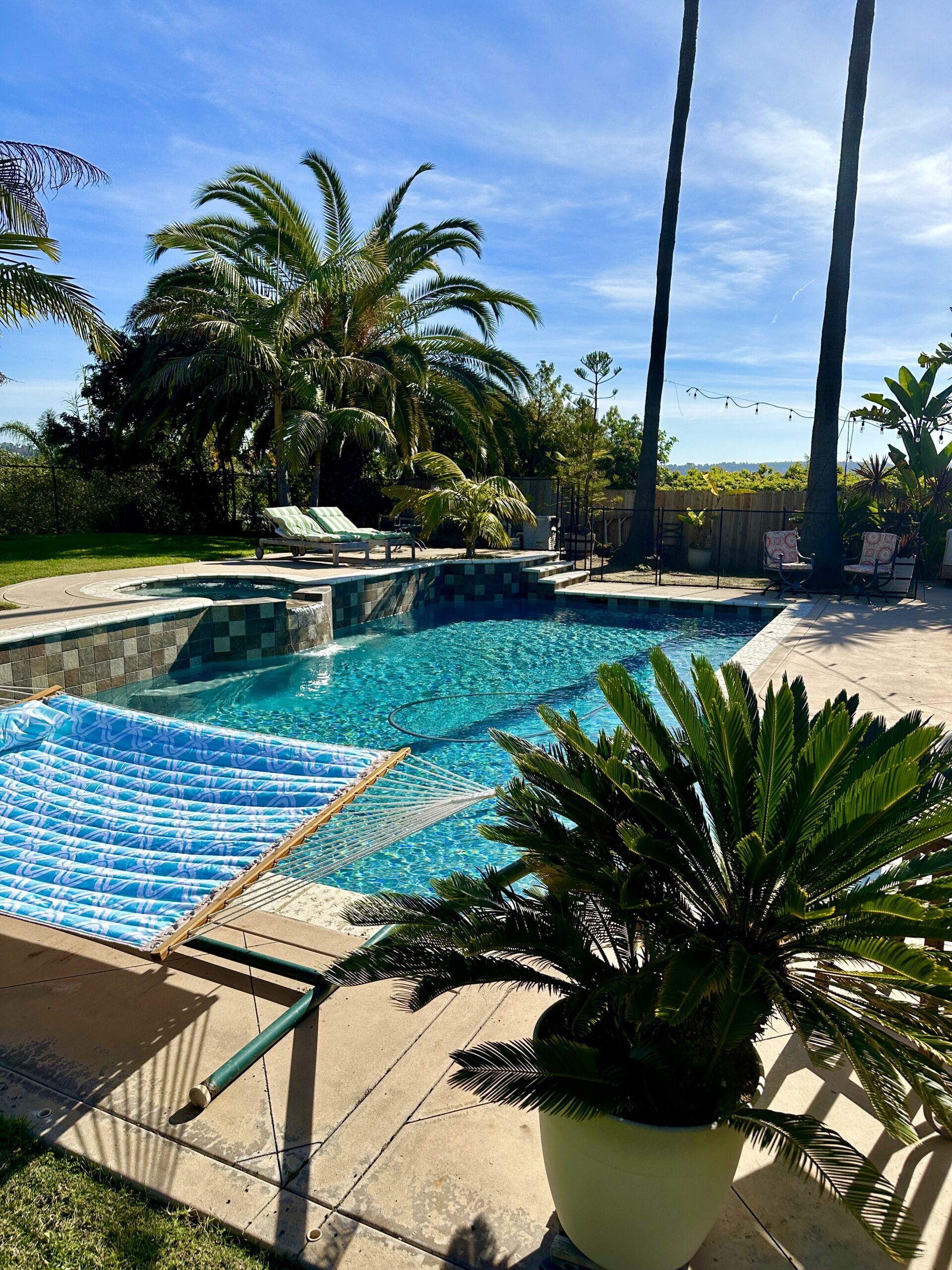 Solana Beach Swim Lessons - SWIM SYNERGY